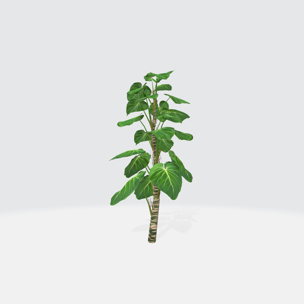 Nature Archives - Pixelwork.pl